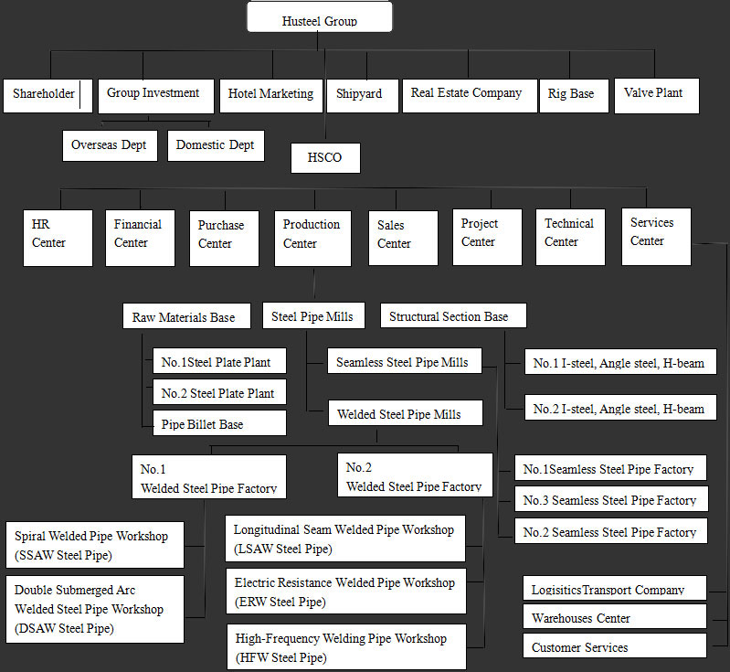 Company Structure, Hunan Standard Steel Co.,Ltd